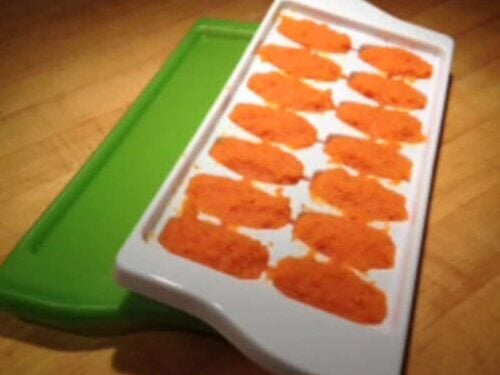 Apple Carrot Puree (Baby Food) - The Lemon Bowl®