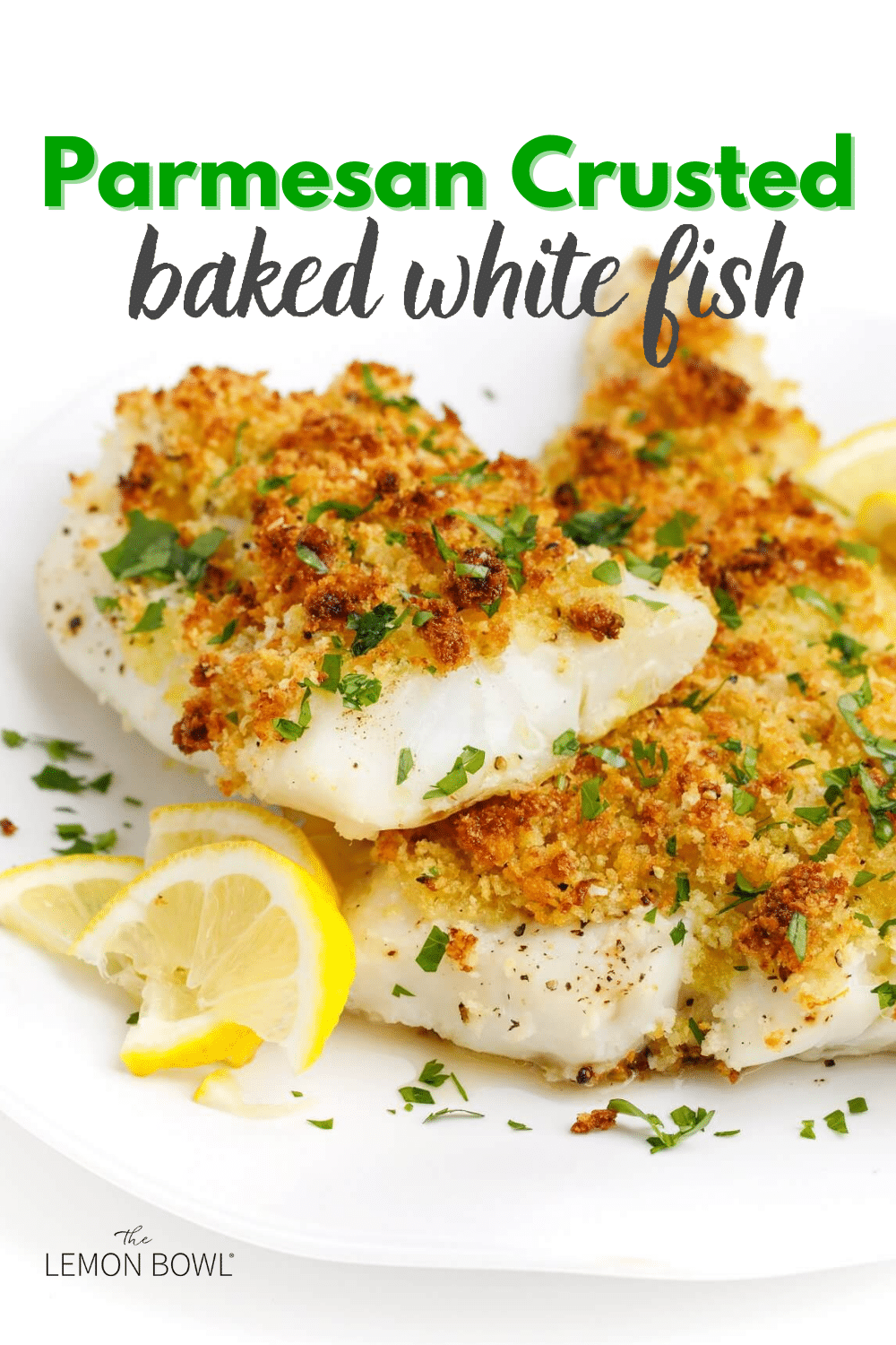 Parmesan Crusted Baked White Fish - The Lemon Bowl®