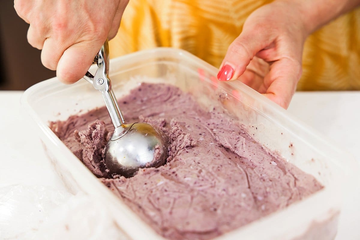 Vegan Blueberry Nice Cream - The Lemon Bowl®