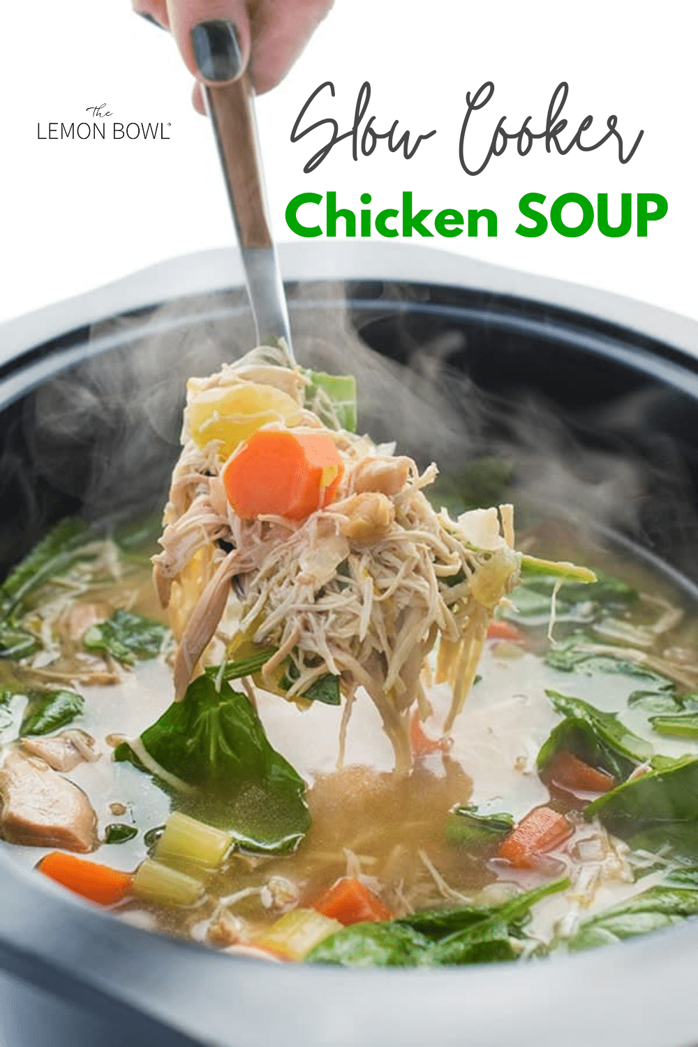Slow Cooker Chicken Soup - The Lemon Bowl®