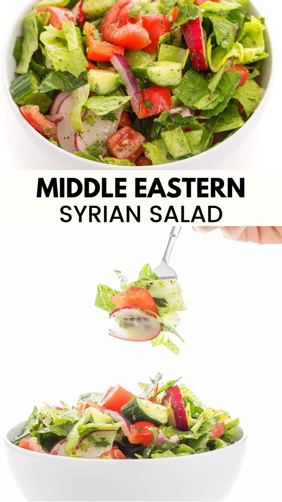 Middle Eastern Syrian Salad (With Video) - The Lemon Bowl®