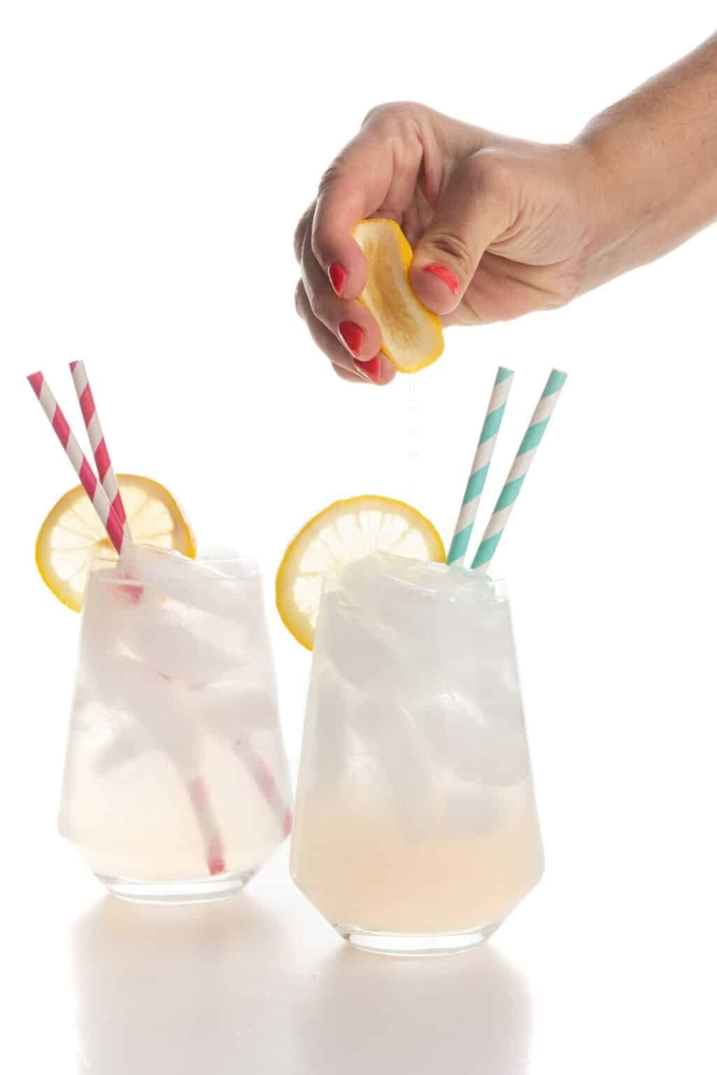 Blood Orange Lemonade Gin Spritz - The Lemon Bowl