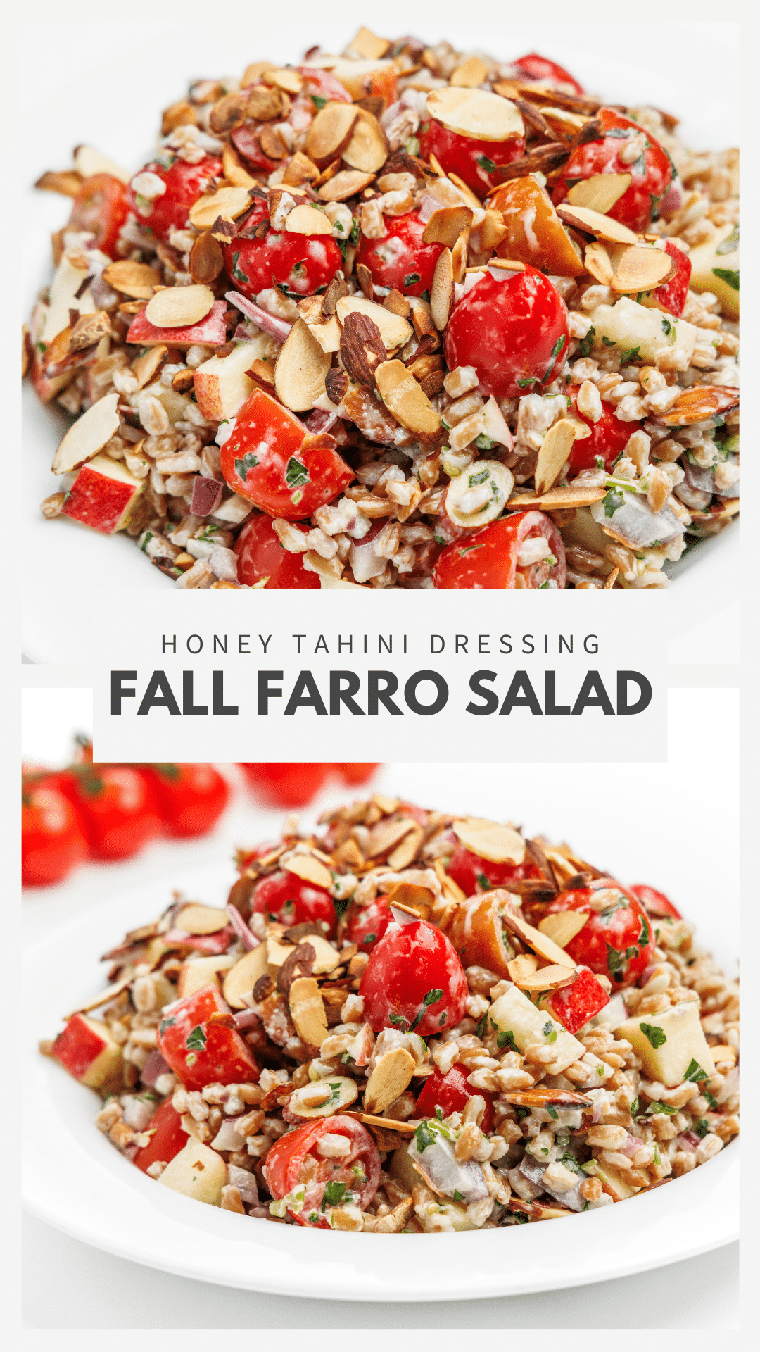 Fall Farro Salad - The Lemon Bowl