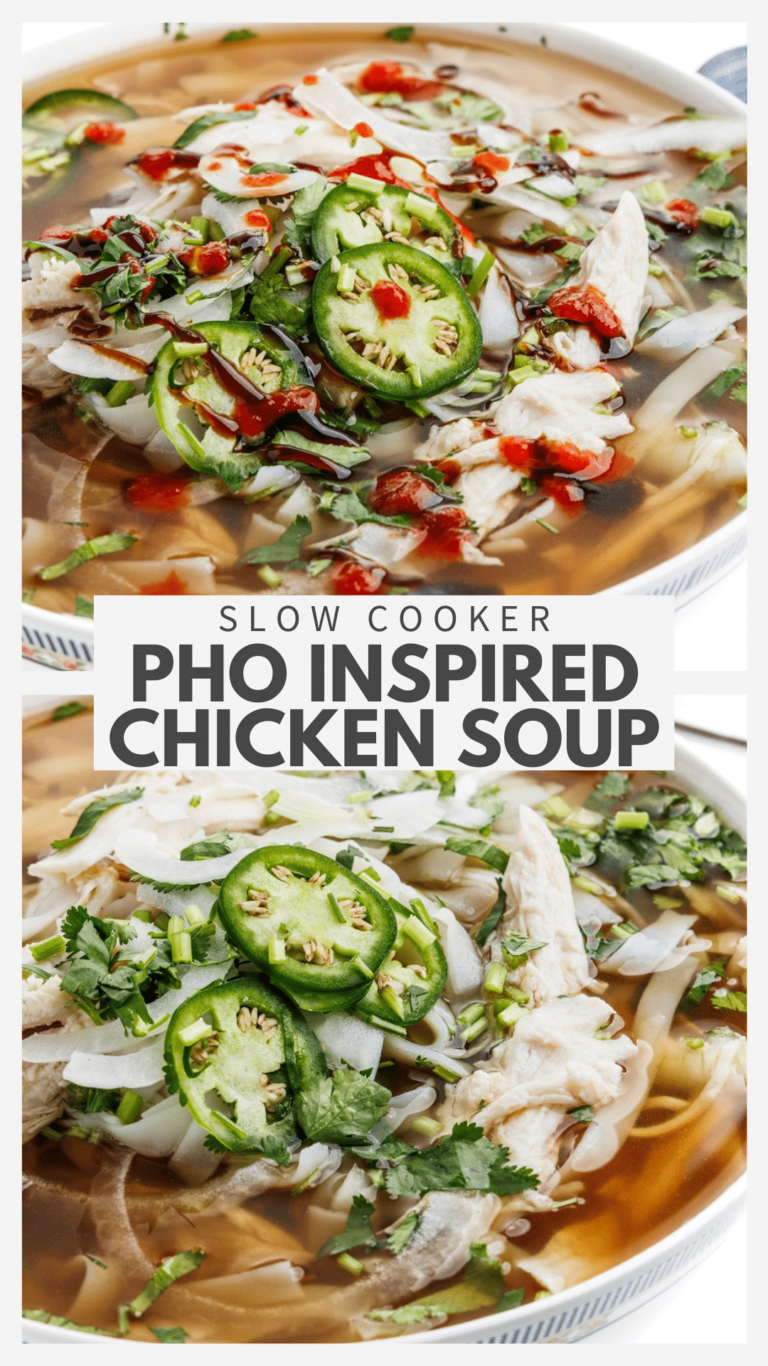 Slow Cooker Chicken Pho Recipe - The Lemon Bowl®
