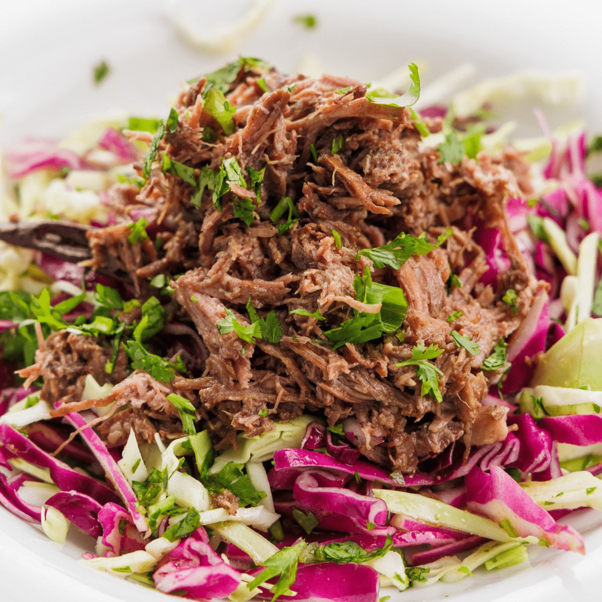 10 Healthy Shredded Beef Dinner Ideas Packed with Protein - The Lemon Bowl